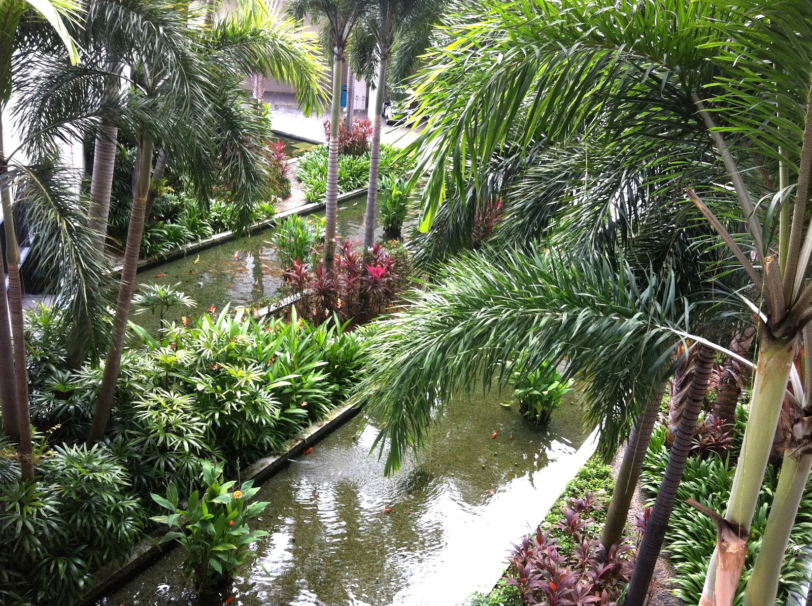 2011 T03 PSPS TP RACE, etutor Chee Swee Ann