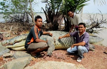 my mancing: Camping di Port Dikson.. Pd tiada lagi ikan atau buaya dah ...