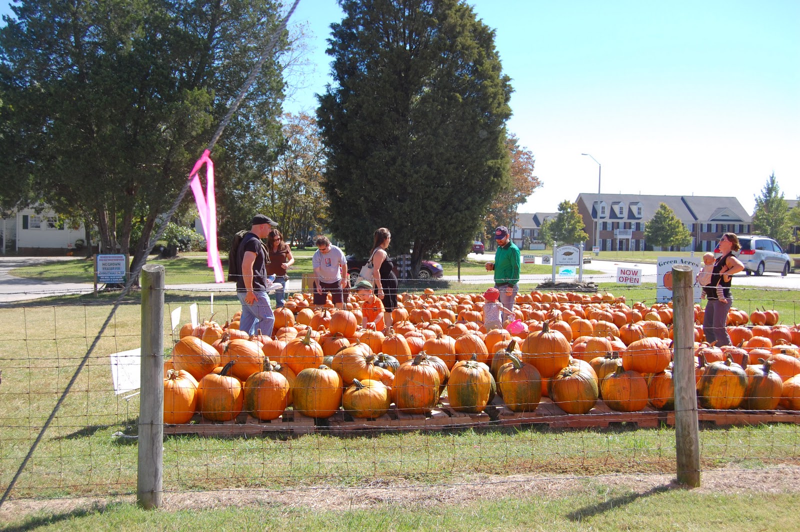 The Stir Crazy Moms' Guide to Durham: Green Acres Farm