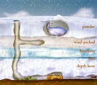 A Blog From The Bog: Life in the Subnivian Zone (reprinted from 2/5/11)