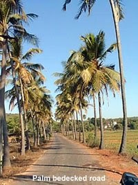 GOA: The Villages of Parra, Verla and Canca in Bardez