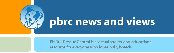 PBRC News and Views: FIREWORKS ARE NO FUN FOR PETS!