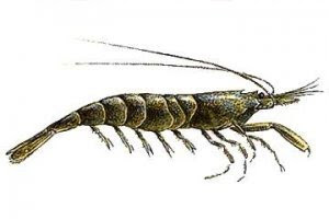 Wishing I were in France: November 2009