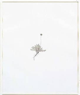 Archive: Michael Landy