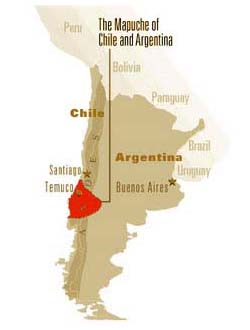 Mapuches en lucha: Homenaje de Librairie Espagnole et Cie - El polvorín