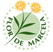 Flor de Marcela