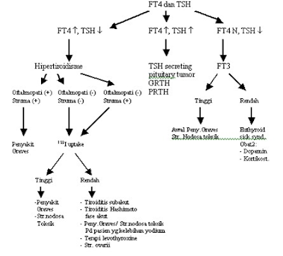 Penyakit Graves ~ Seputar Kedokteran