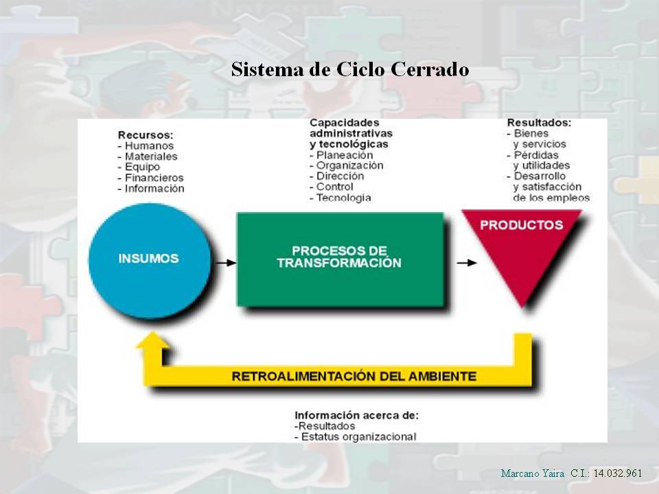 Modelo General de Sistemas de la Compañía.: Sistema de Ciclo Cerrado