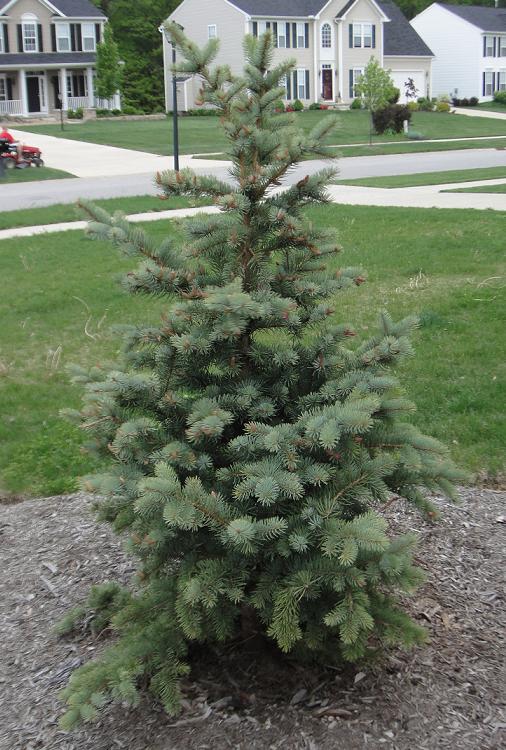 Building Our New Home: April 2010