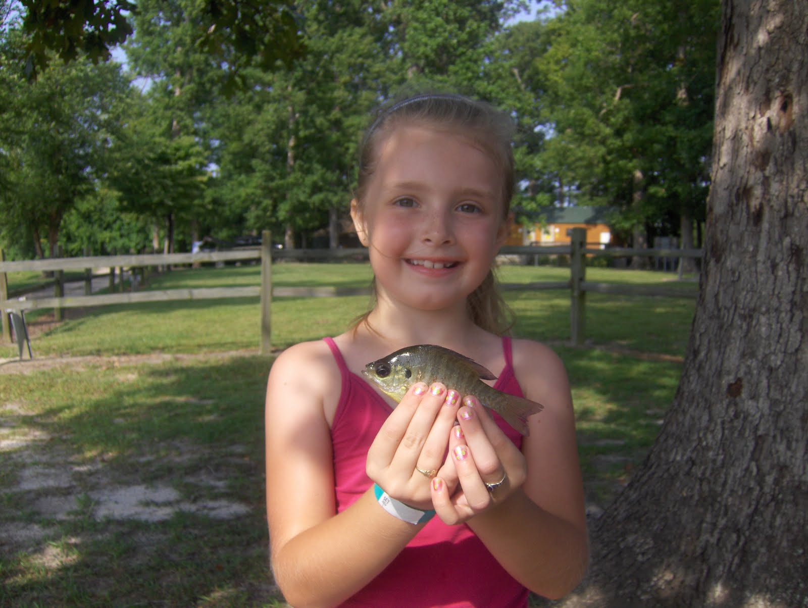 Every Now and Then: Gone Fishing, and Swiming, at Summer Camp.