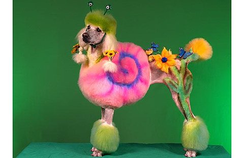 Bilinick: Dogs Made To Look Like Other Things