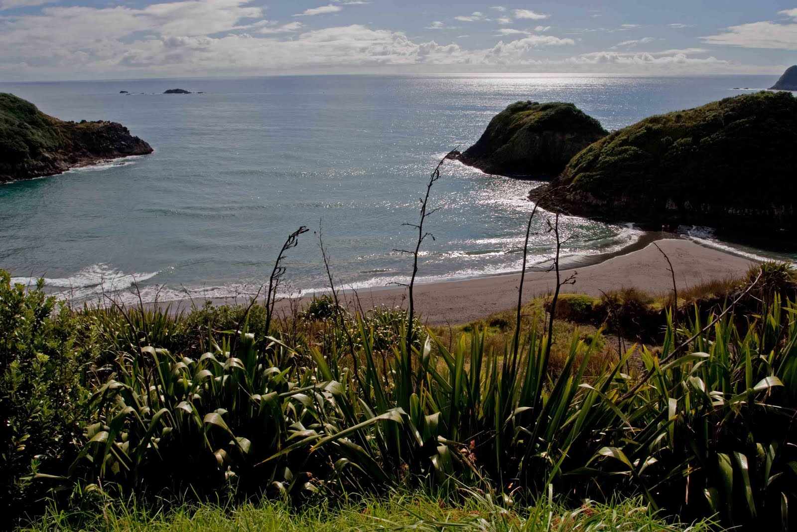 A Kiwi at the camera: Back beach , New Plymouth