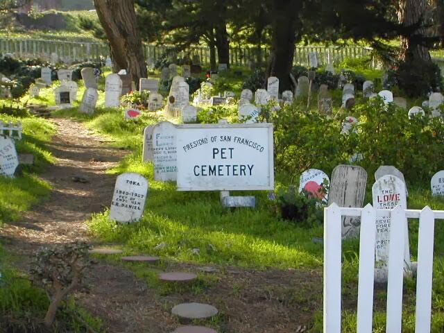 Liz Adeles SpOOky Art: Pet Cemetery