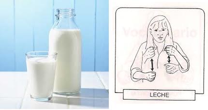 Lenguaje de Señas-Vocabulario de Alimentos: Bebidas