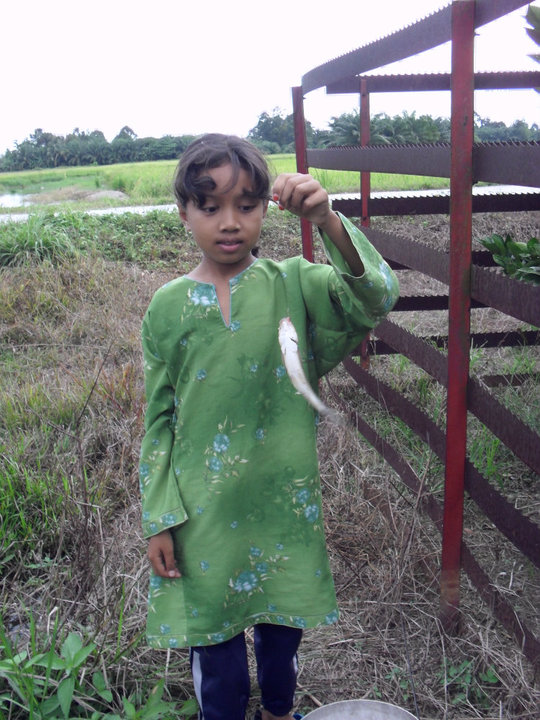 Puakajoran.blogspot.com: Pipi Merah Semakin Jarang Ditemui