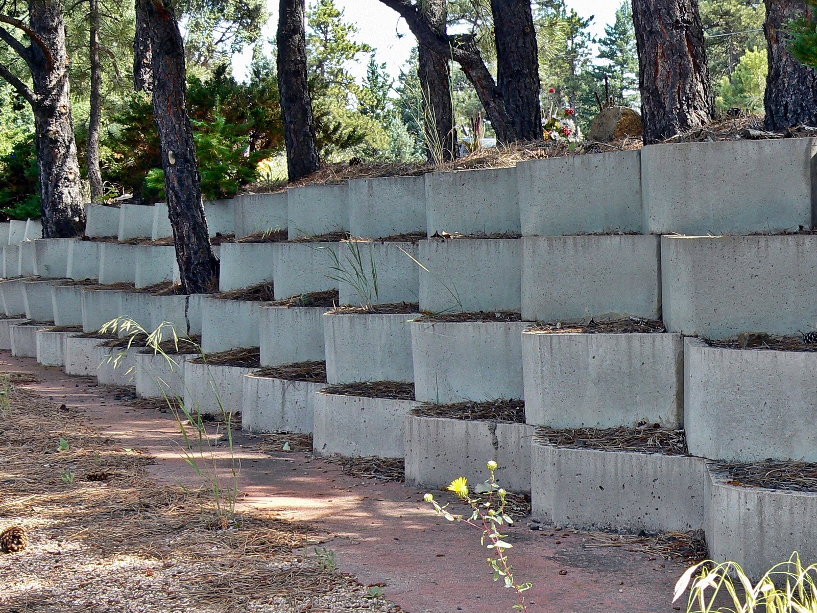 An Evans Expedition: Mount Lindo Memorial Park