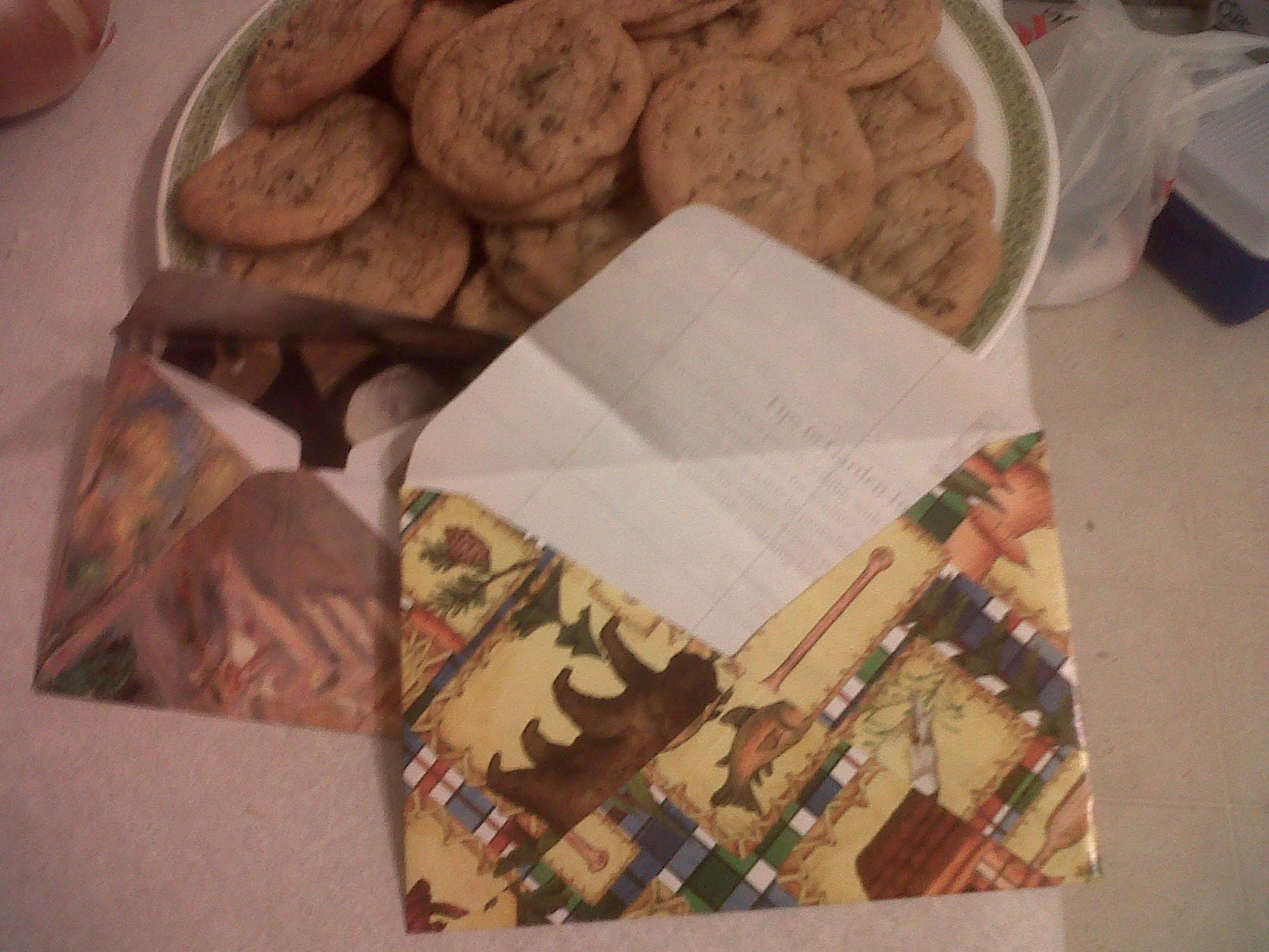 Penpal from Southern Colorado: Homemade cookies and envelopes!