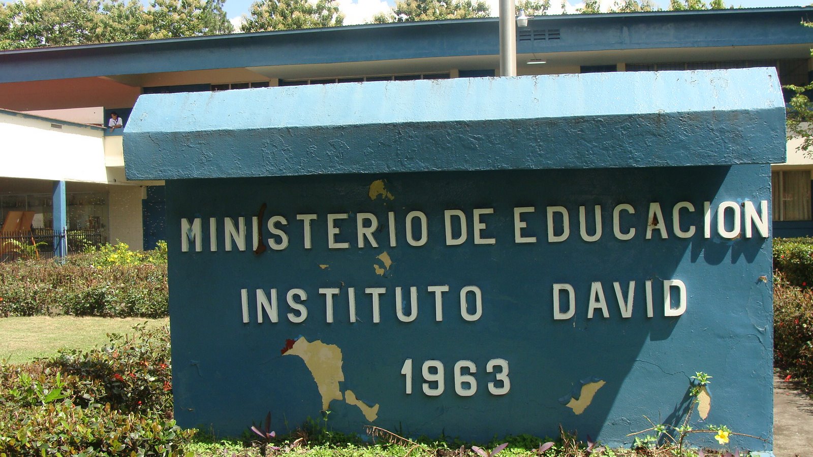 50 años del instituto david