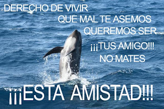 Salvemos los Delfines Calderon de Dinamarca