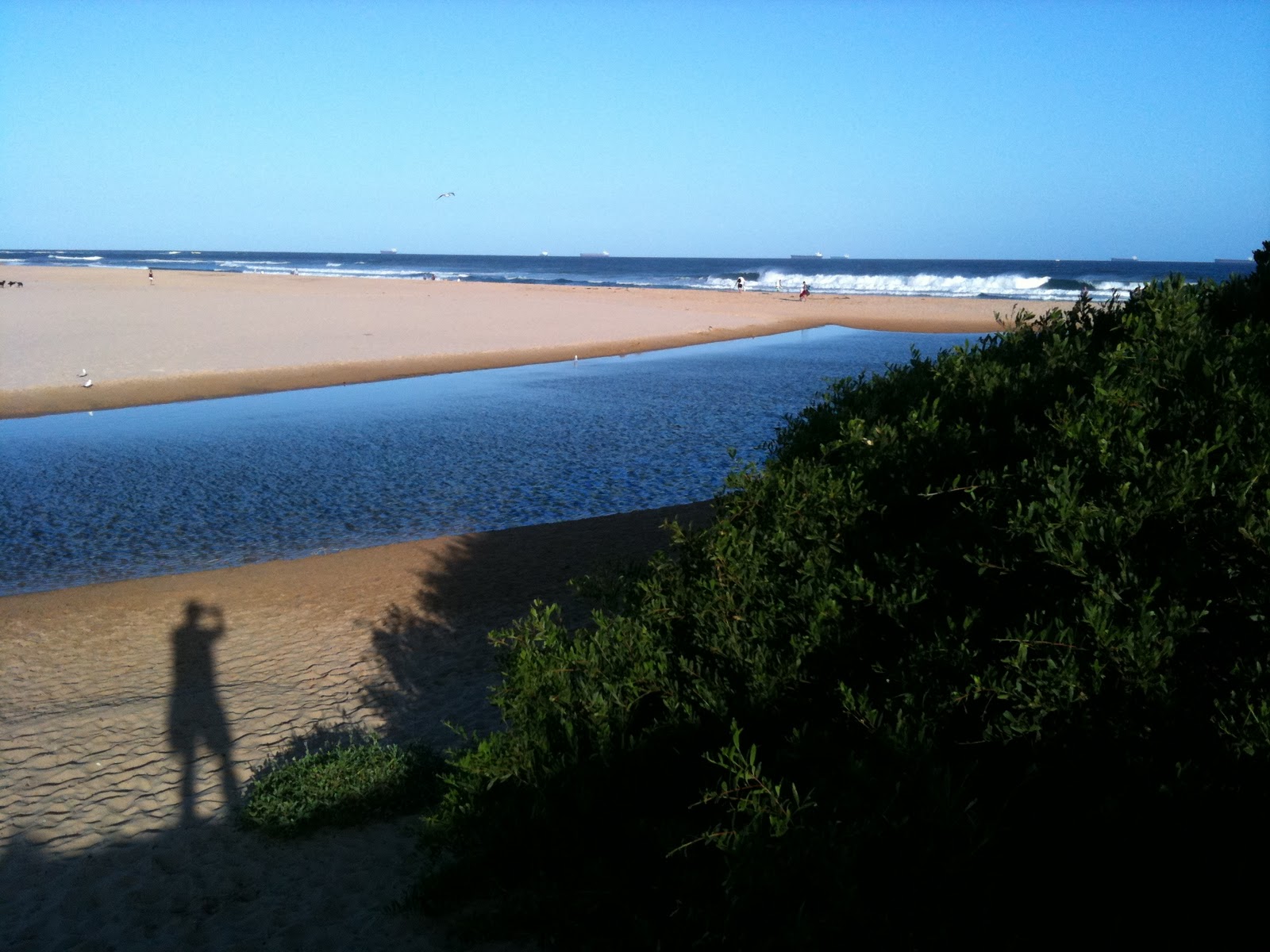 Illawarra Beaches - Bellambi Point