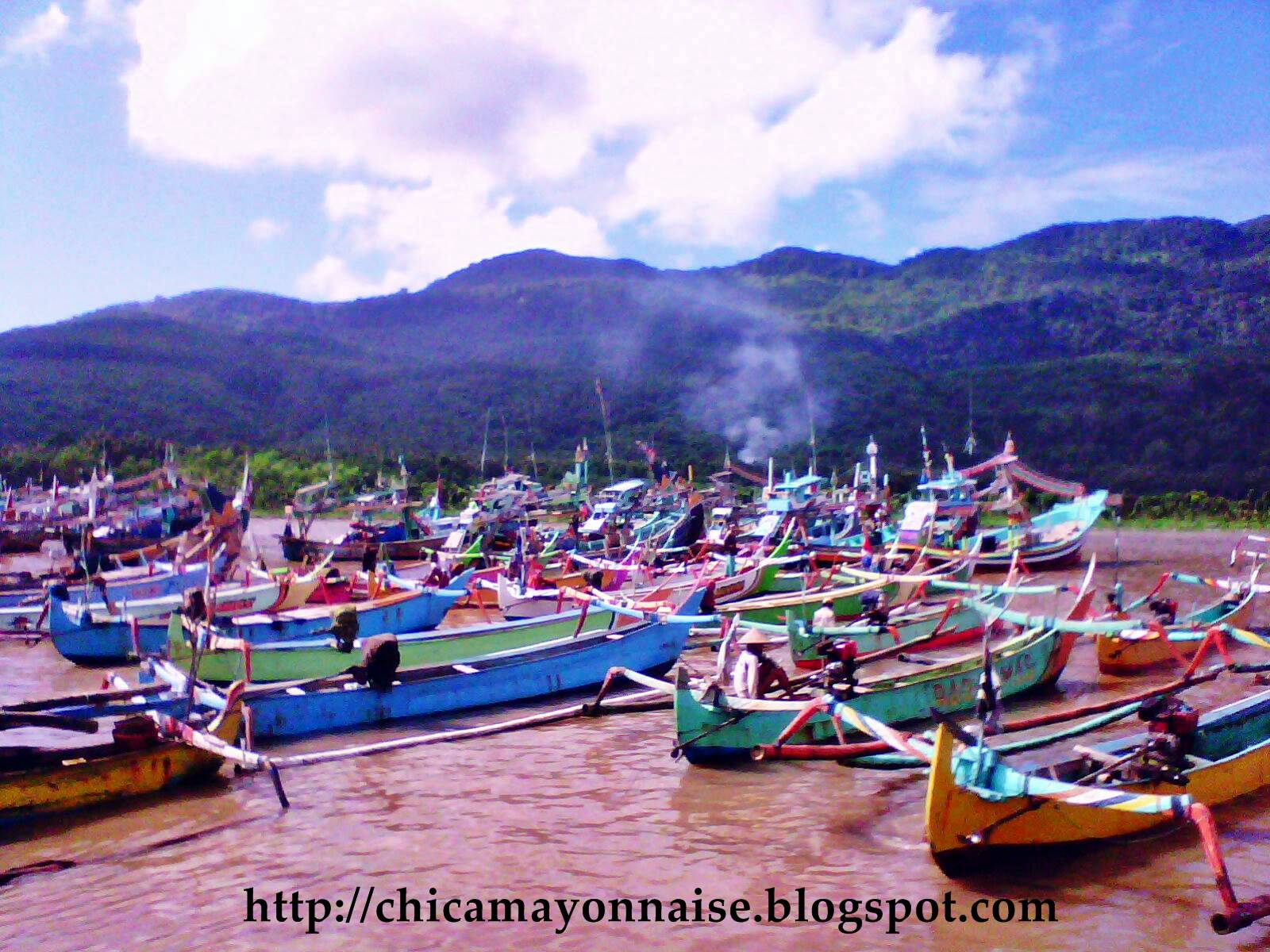 Chica Mayonnaise: Foto-foto Menakjubkan Daerah Pelabuhan Puger Jember ...