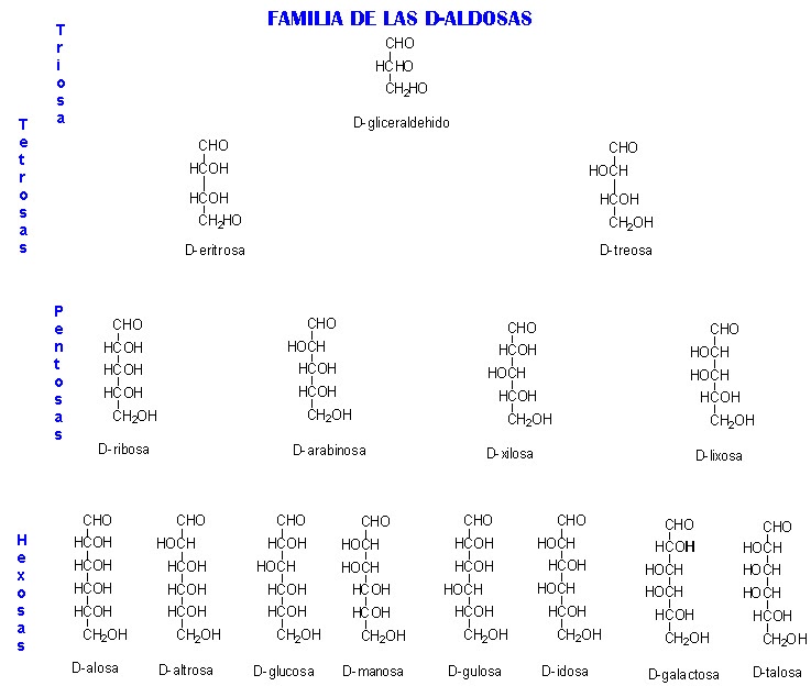 bioquimica: FAMILIA DE LAS ALDOSAS