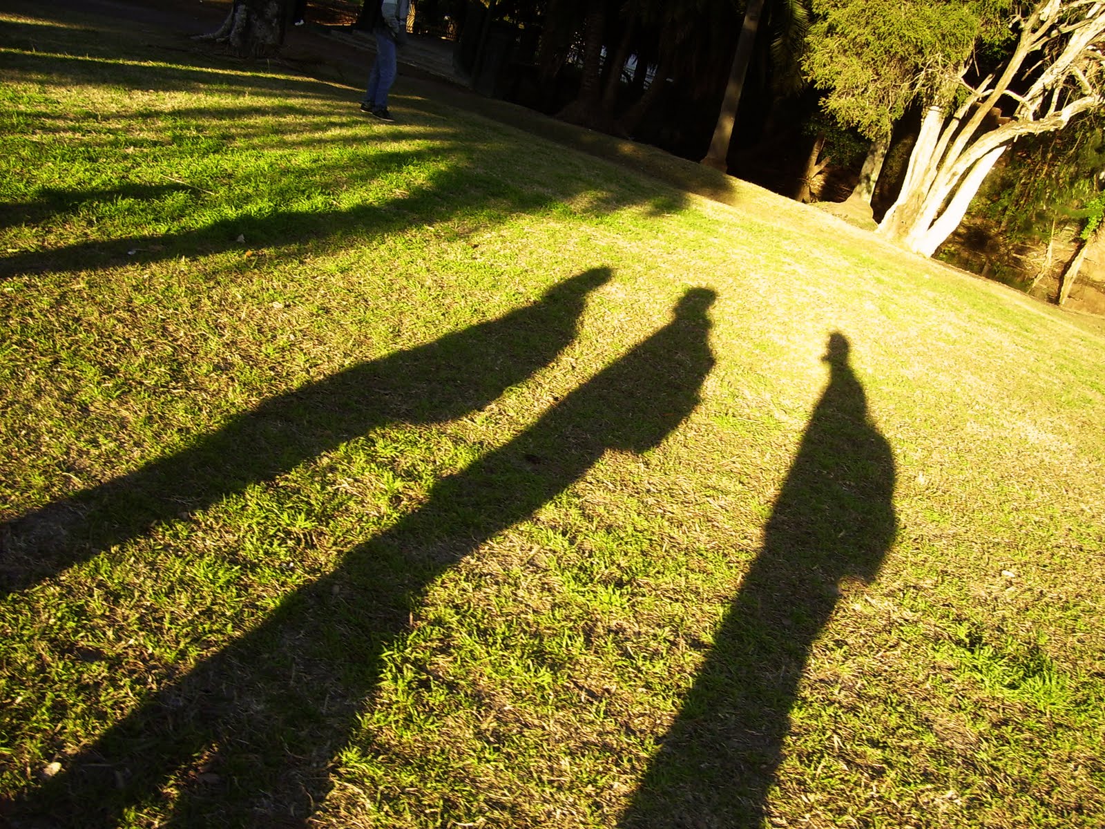 tinta sucia: Sombras...