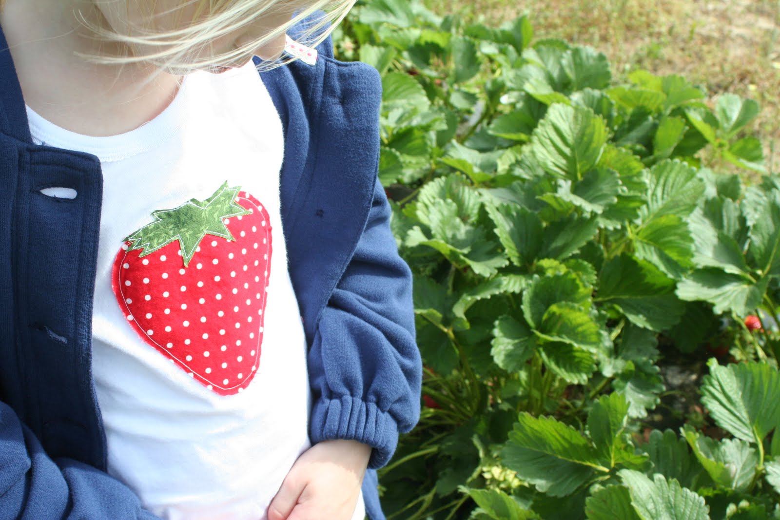 Little Page Turners: One Red, Ripe Strawberry! (& free applique pattern)