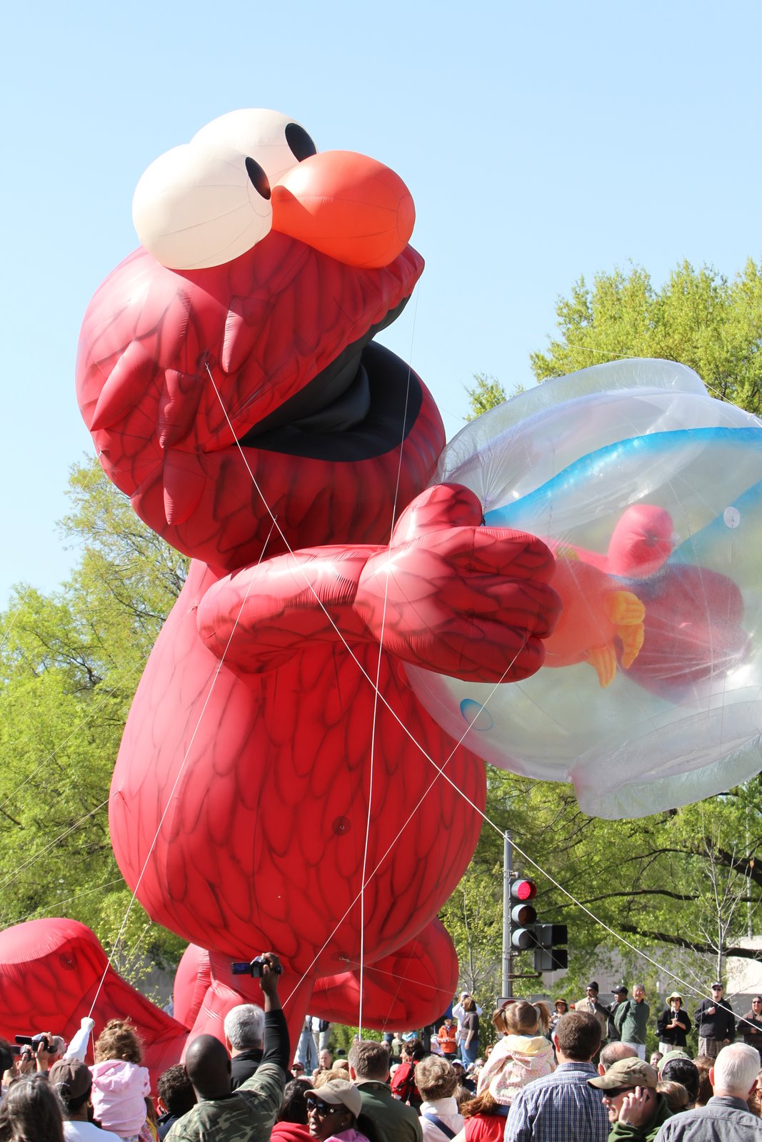 Ernie (Not Bert): An Inflatable Parade