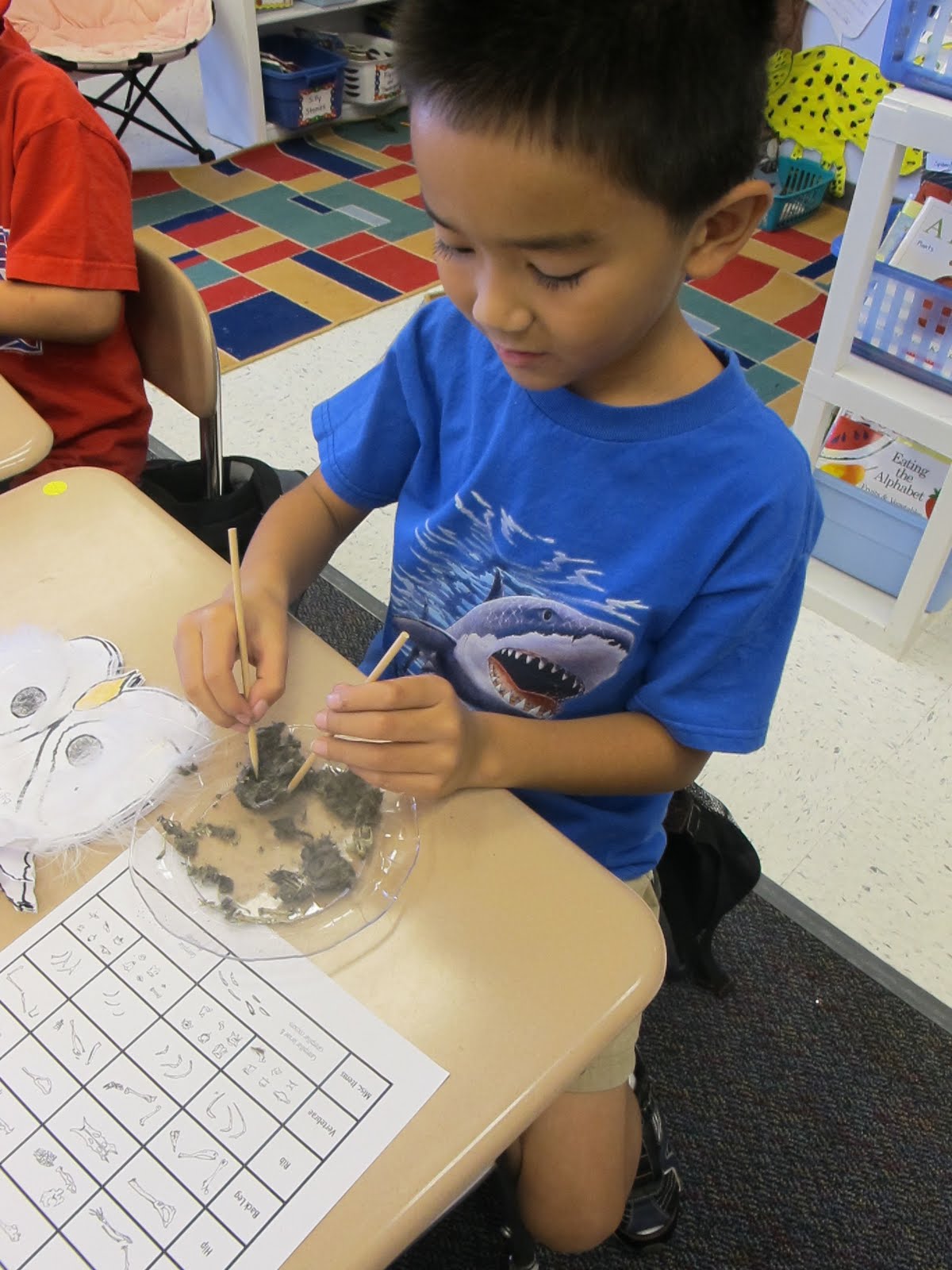 Nicholas' Bobcat Den
