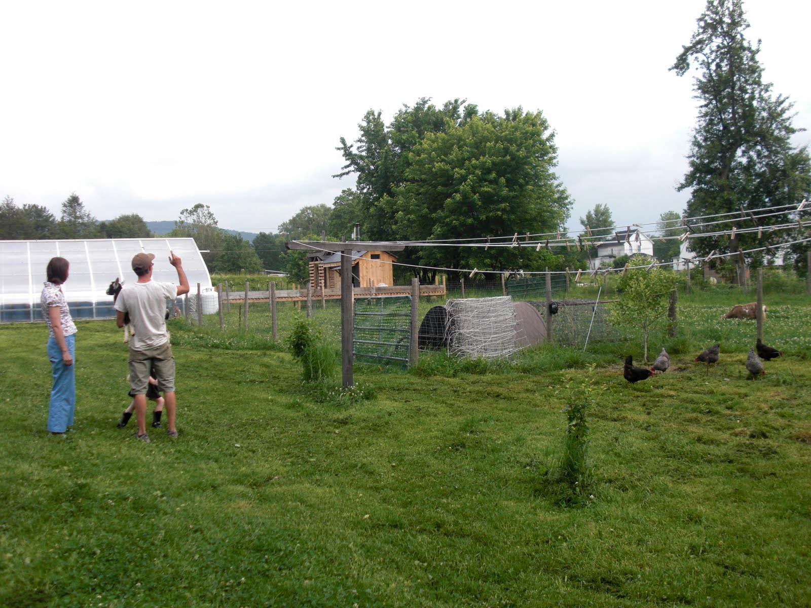 Tagan's Kitchen: City Dwellers Getting Their Farm Fix