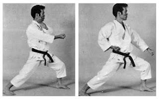 El Camino del Jiu Jitsu: Gedan barai