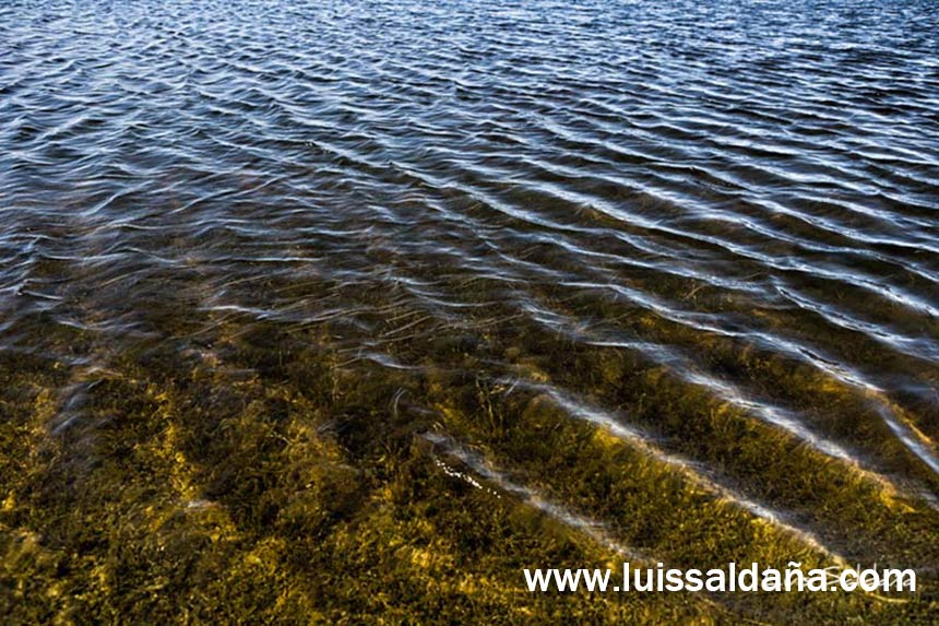 Luis Saldaña: mayo 2010