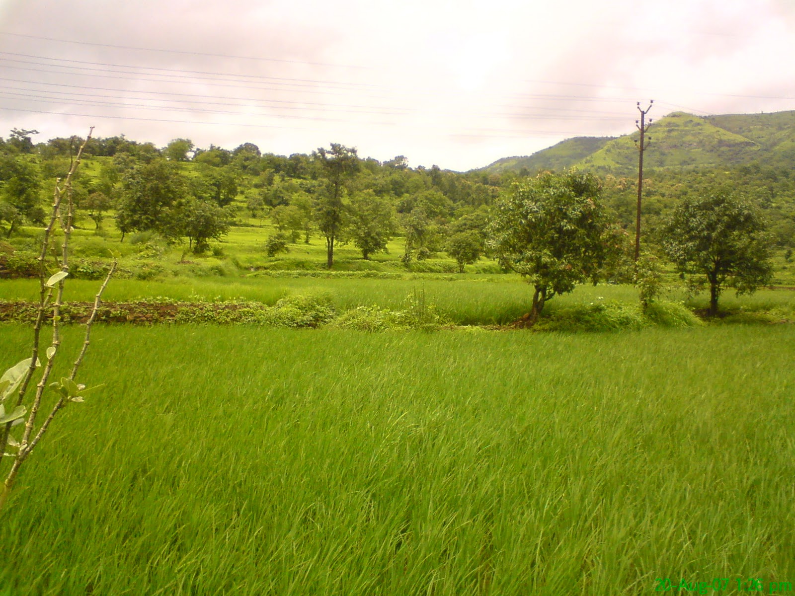 Sahyadri Mountain-Ghat Photos: Nilkantheswar-Panshet-Khadakwasla