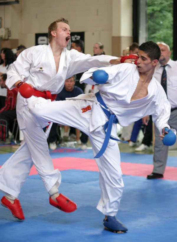 seni bela diri: KARATE