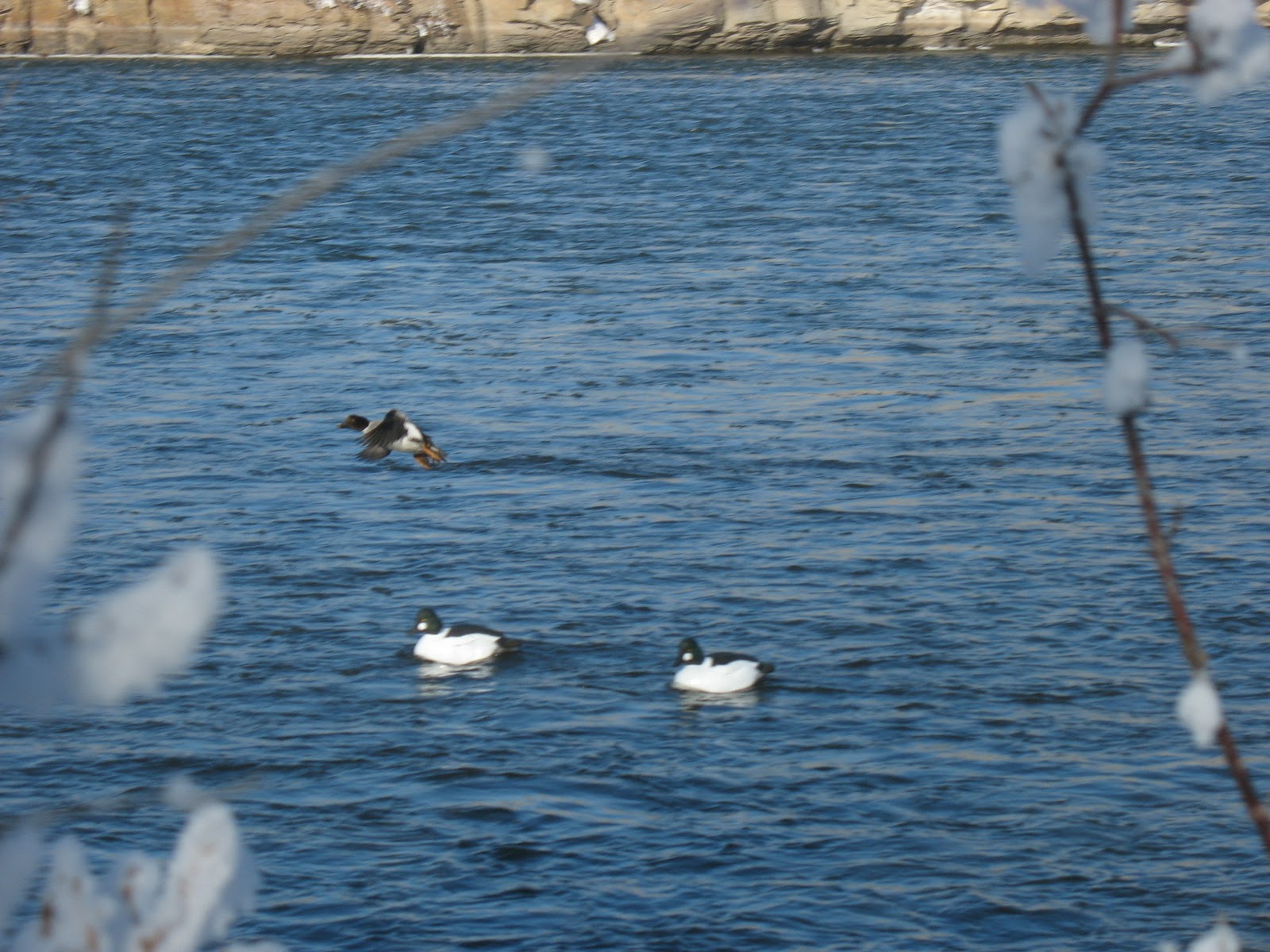 Life with the Houston's: Mom's Birthday, playing in the snow, baking ...