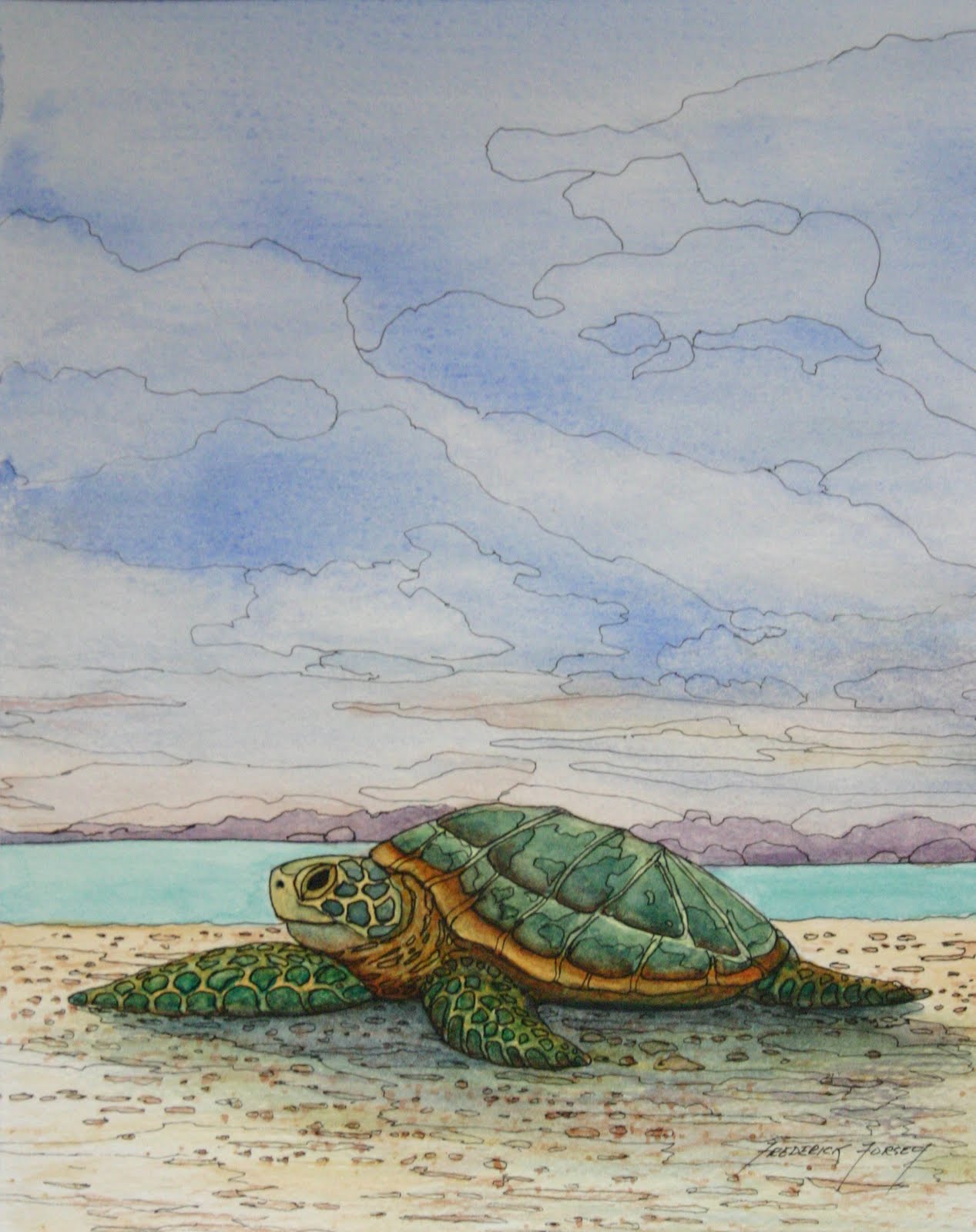 The Art of the Turtle May 14th – Ontario Turtle Conservation Centre