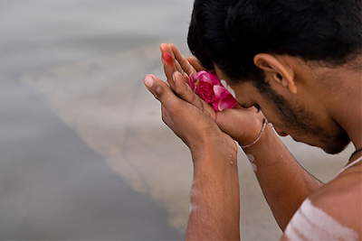 What is Reverence? | flowering of holy perception to life | Technology ...