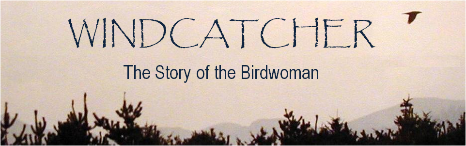 The Marketing Vortex by Marketing Dynamics: Feature Film (pre ...