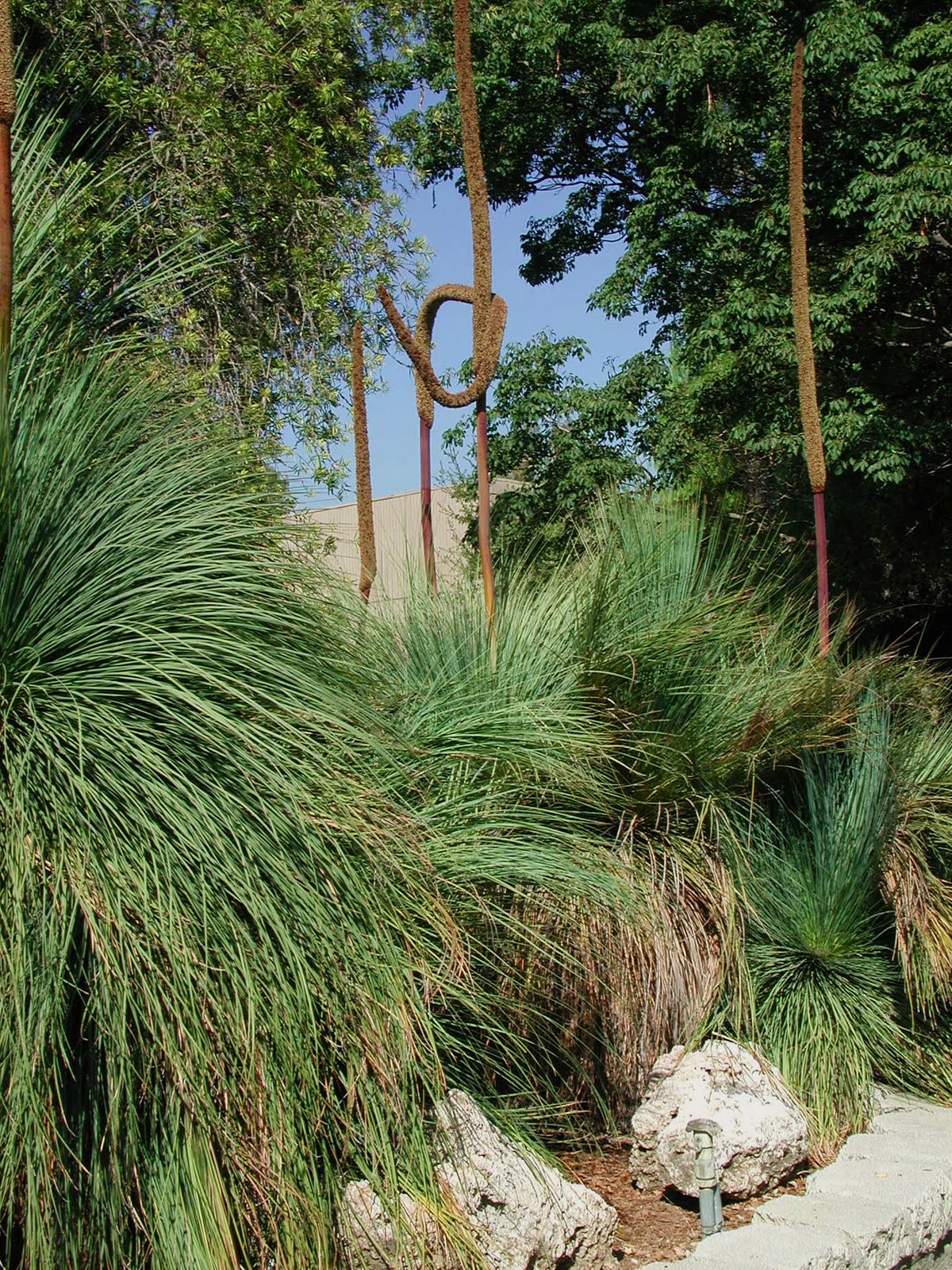 Fairy Yardmother Landscape Design: Vertical Elements