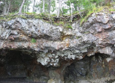 Natural History of Raleigh Photos: Acadia and Mount Desert Island, Part Two