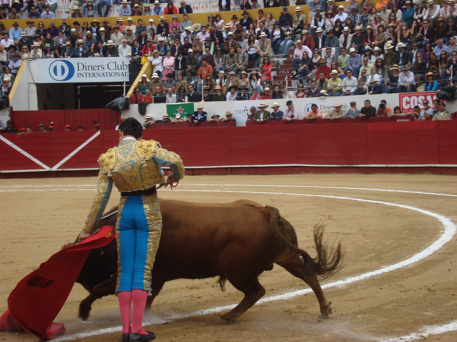 Del toro al infinito: QUITO: GRAN TRIUNFO DE DAVID SILVETI CON NOVILLOS ...