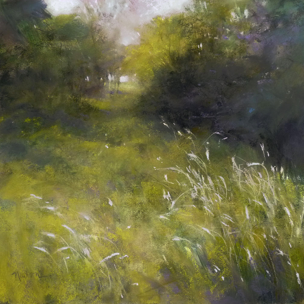 BARBARA BENEDETTI NEWTON PAINTINGS: 2010