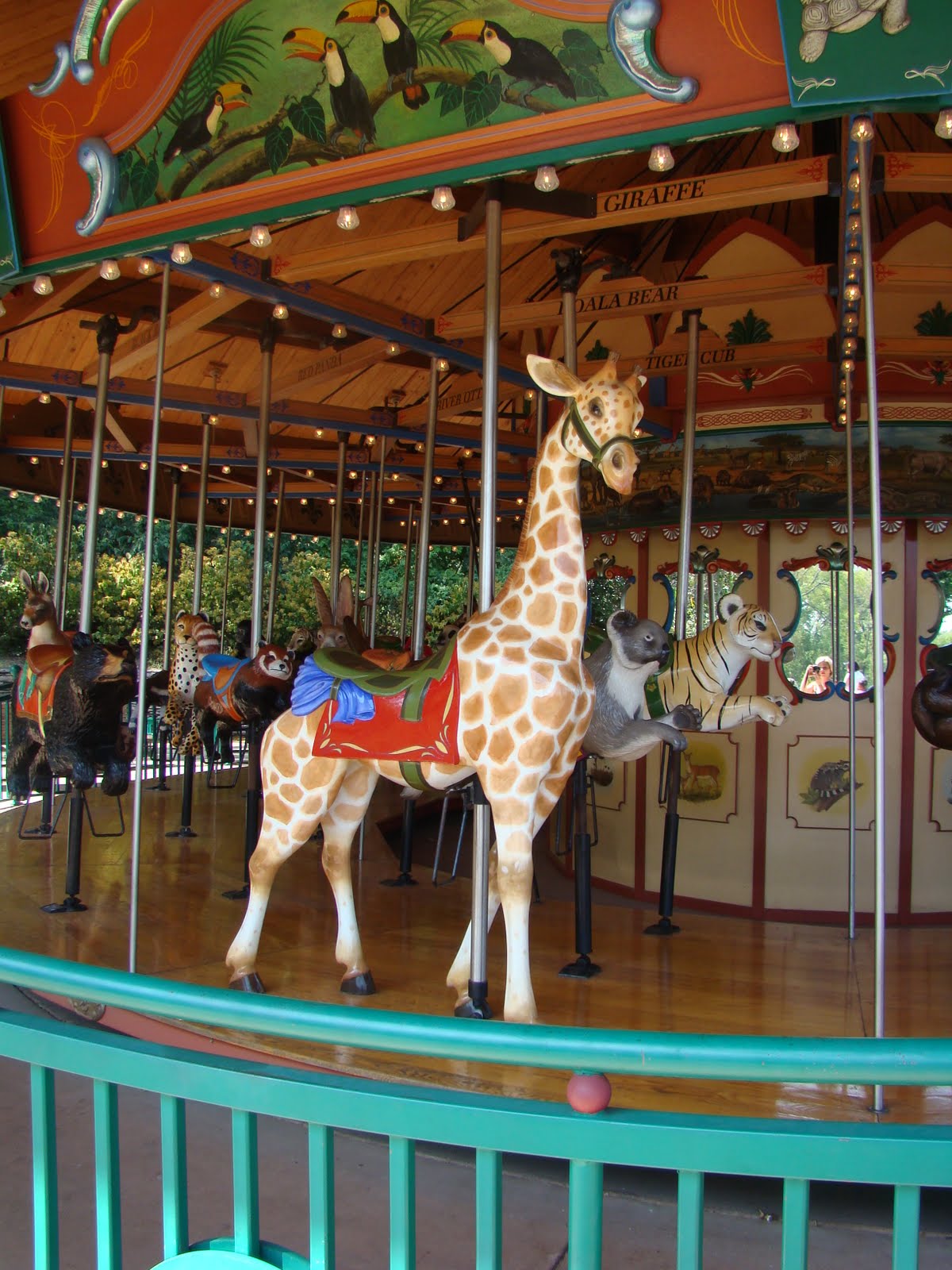 Our Little family: Carousel