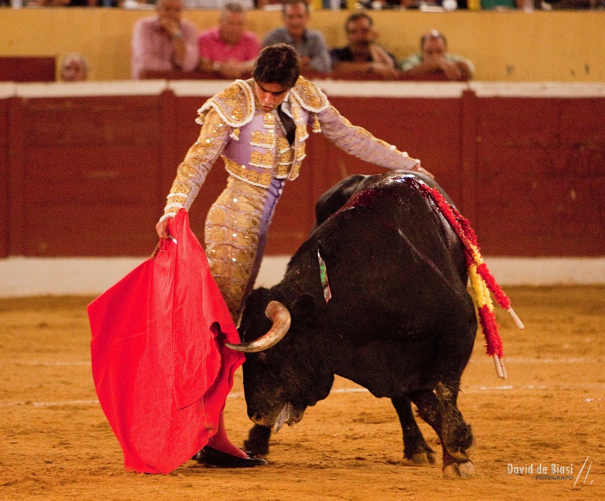 LOS TOROS CON AGUSTÍN HERVÁS.: GALERIA FOTOGRAFICA DE LA CORRIDA DE ...