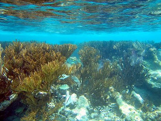 NEWS TOURISM: Sebuku & Sebesi Island