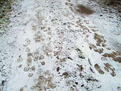 Kolozsvár környékének felfedezése és az Erdély: Bácsi-torok, 2009 jan ...