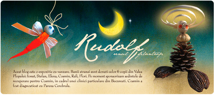 Rudolf - Ren de Craciun, voluntar in restul anului.: Cutii pictate cu ...