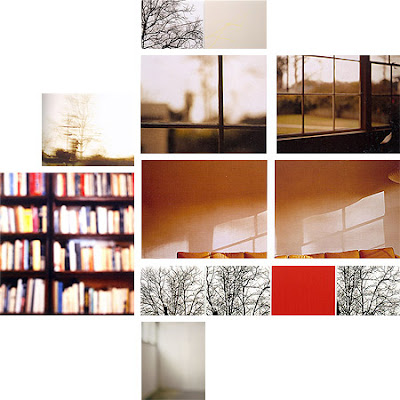 intermediatephotoemich: uta barth