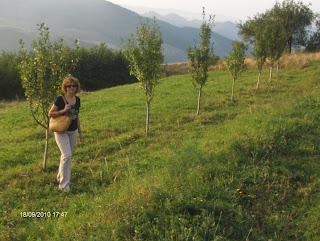 marina davidovic: KOPAONIK